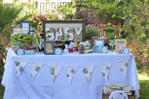 Build A Library Baby Shower Theme