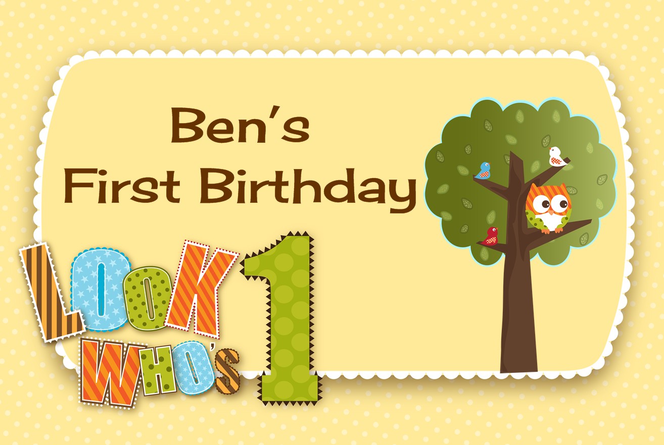 Look Who's Turning One Owl Birthday Party Place Mats | Look Who's ...